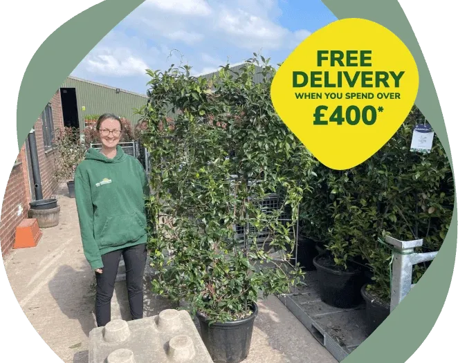 Welcome To Grasslands Nursery | The Hedging Specialist | Grasslands Nursery, Cheshire